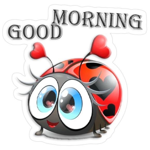 Other | Live Show Listing All Items Sold Have Been Explained And Shown ...